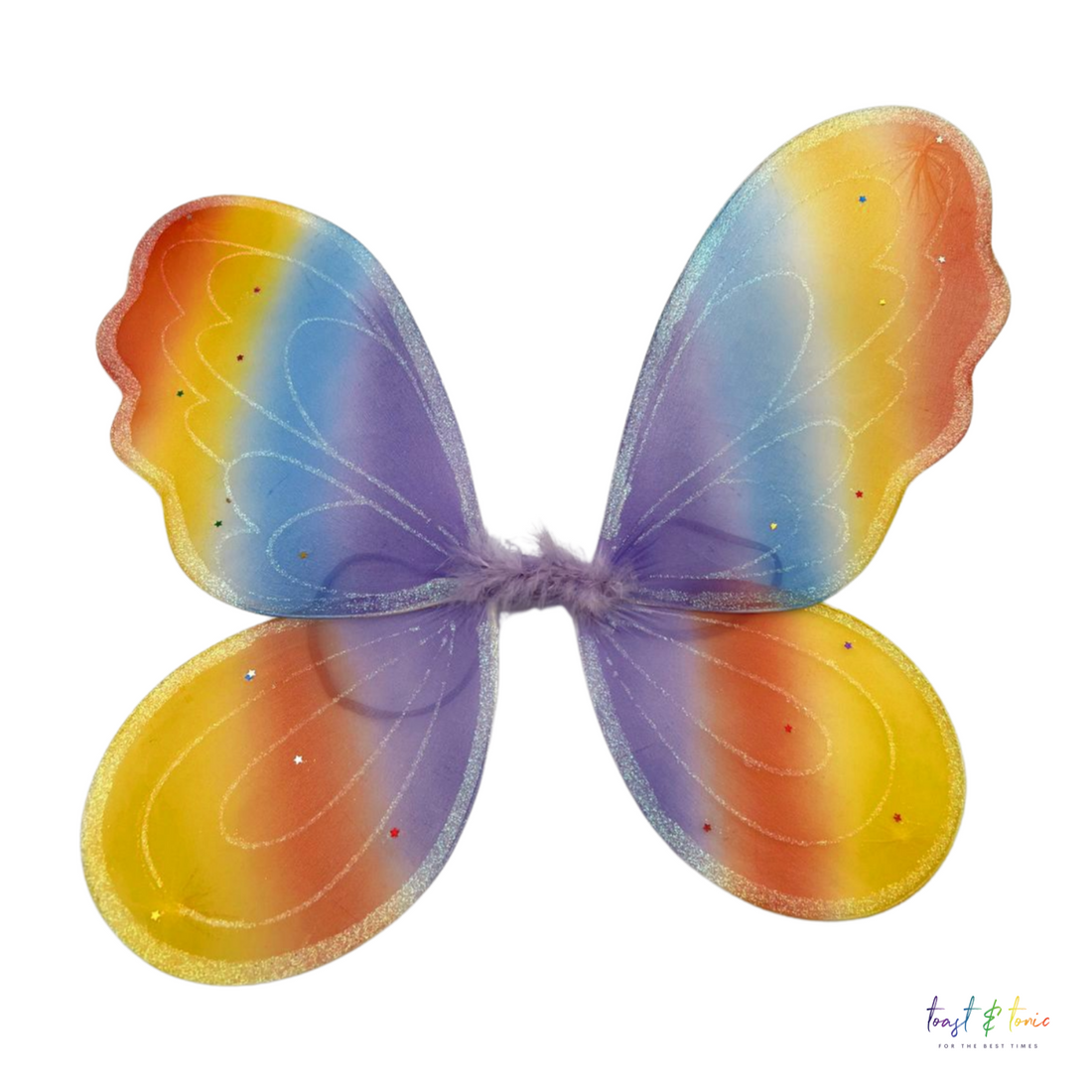 Rainbow Fairy Wings – Toast & Tonic